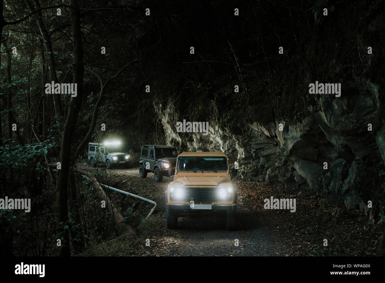 Night driving forest hi-res stock photography and images - Alamy