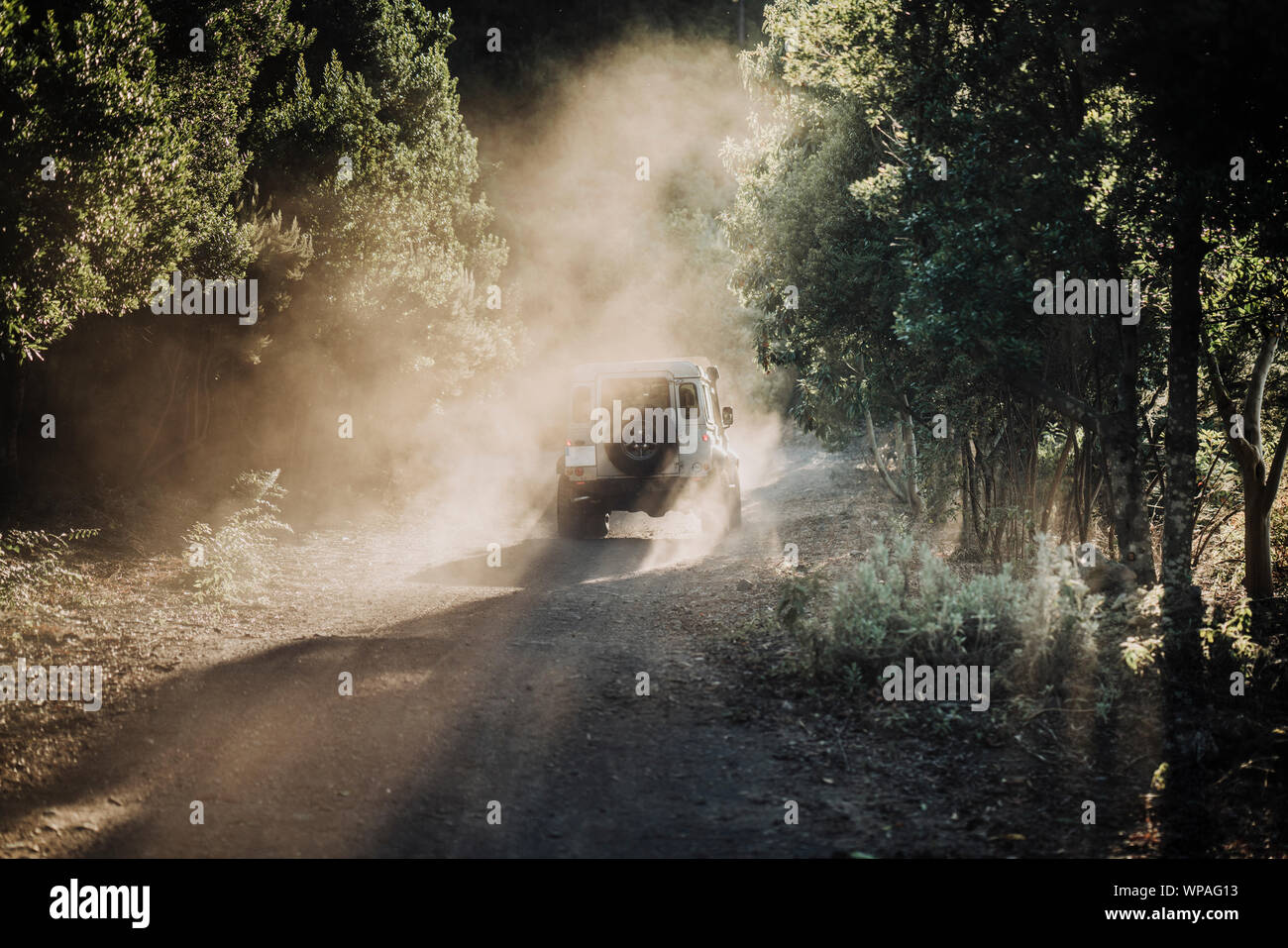 Man driving a 4x4 during sunset in the forest Stock Photo - Alamy