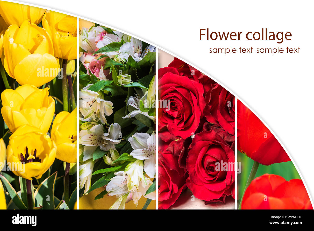 Flower collage hi-res stock photography and images - Alamy