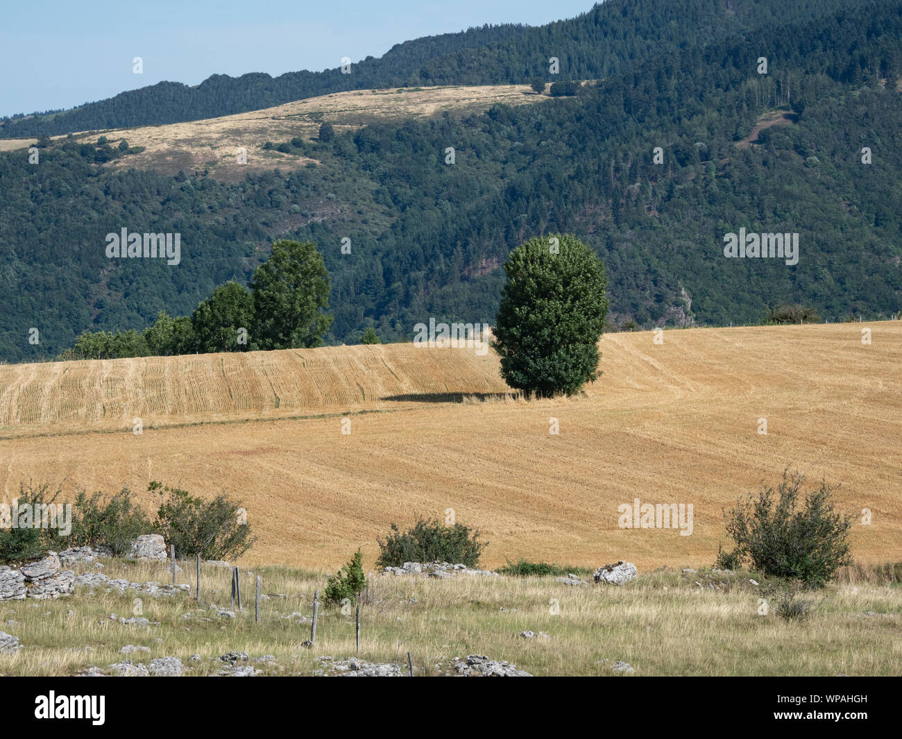 Cevennes national park and forest hi-res stock photography and images ...