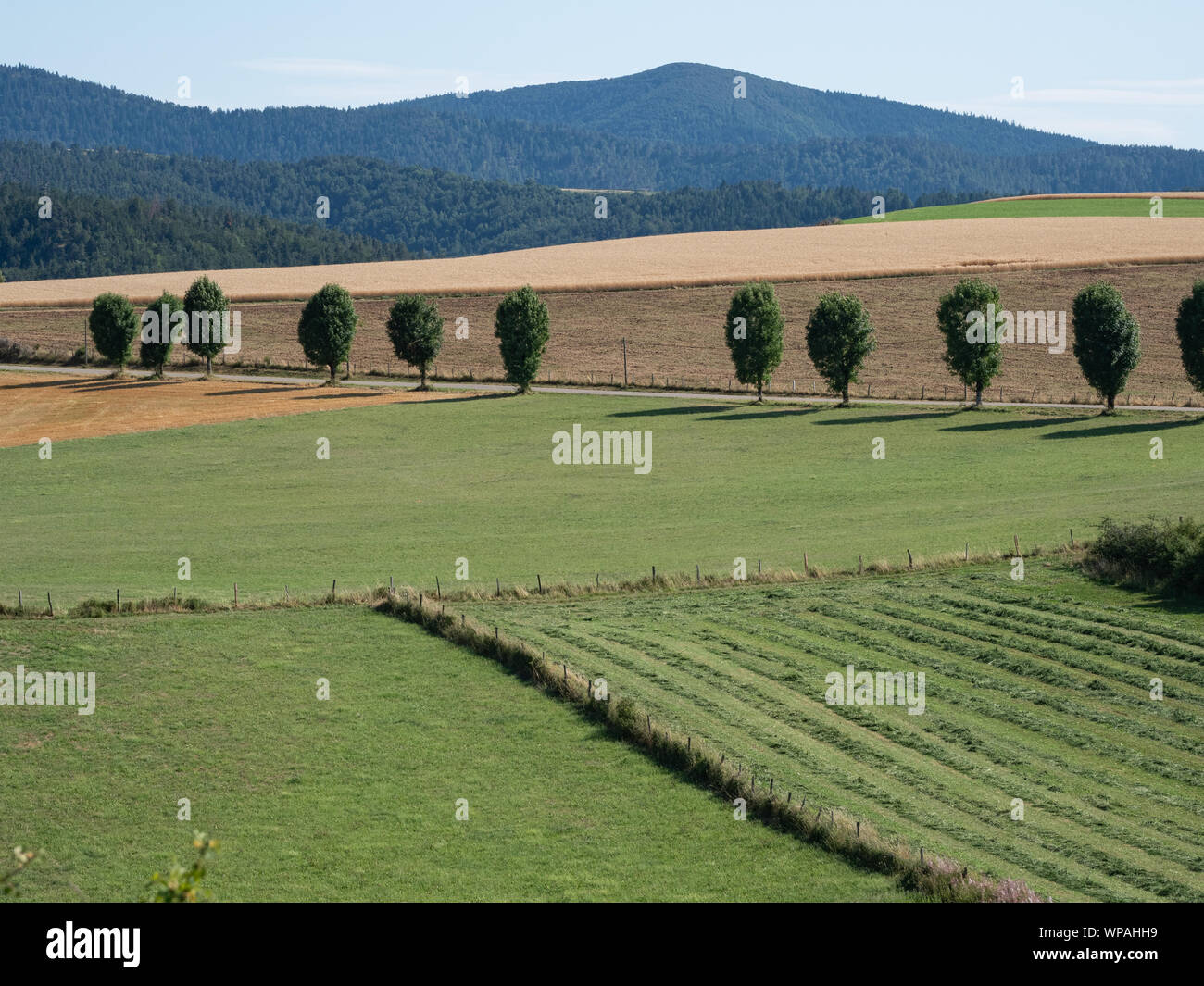 Cevennes national park and forest hi-res stock photography and images ...