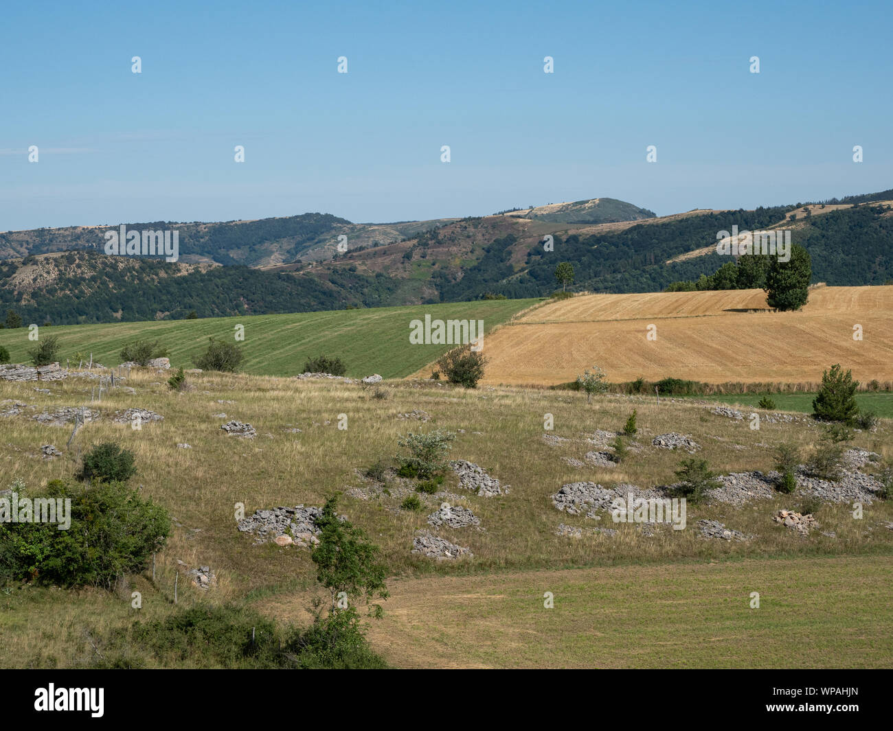 Cevennes national park and forest hi-res stock photography and images ...