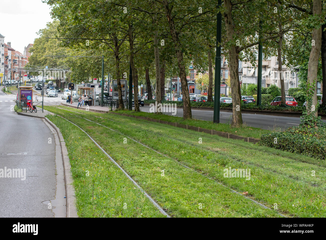 Green tram tracks in Schaerbeek, Brussels, Belgium Stock Photo - Alamy