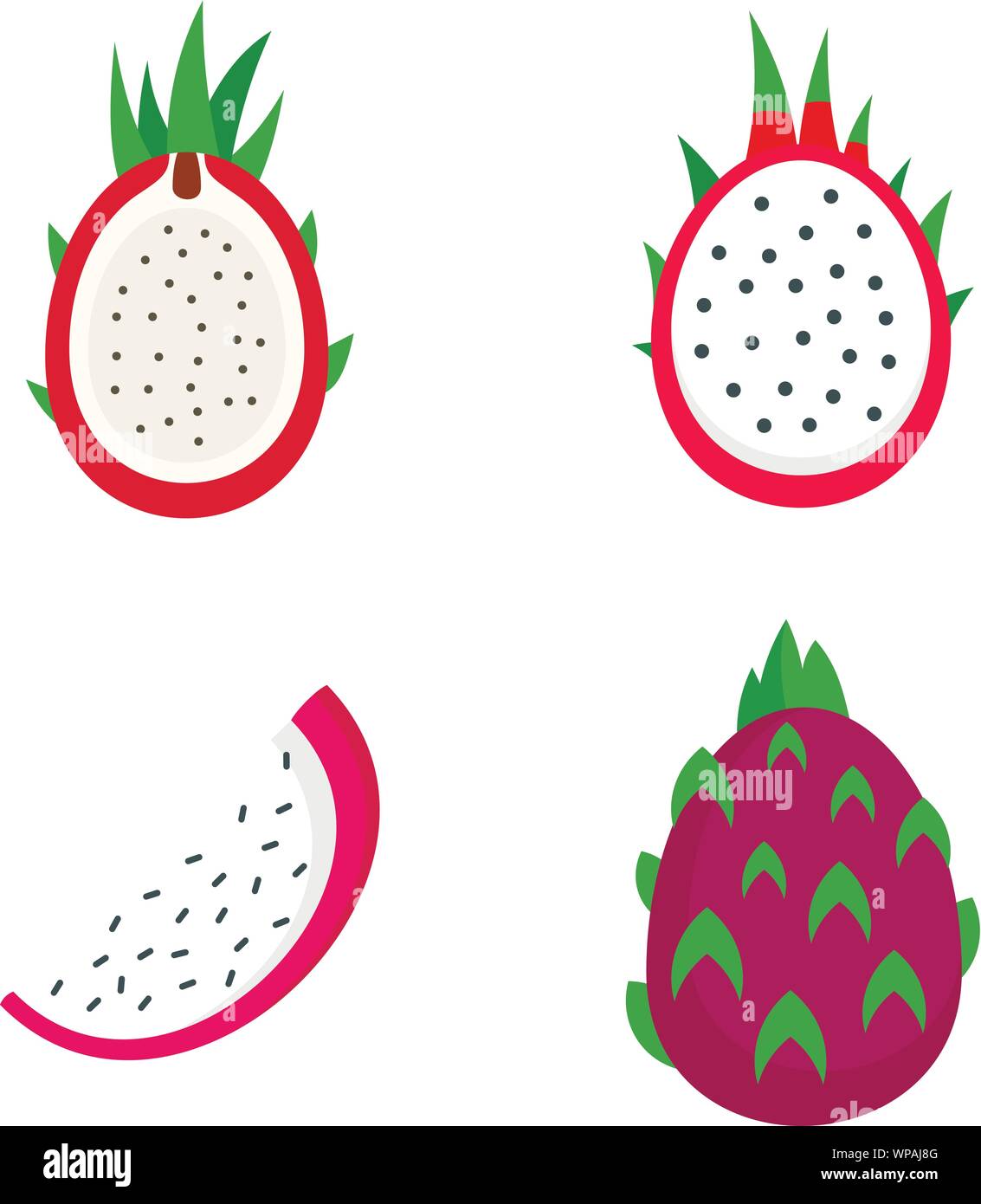 Pitaya icons set. Flat set of pitaya vector icons for web design Stock ...