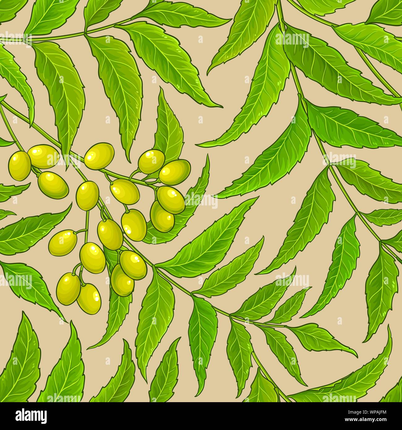 Neem Stock Vector Images - Alamy