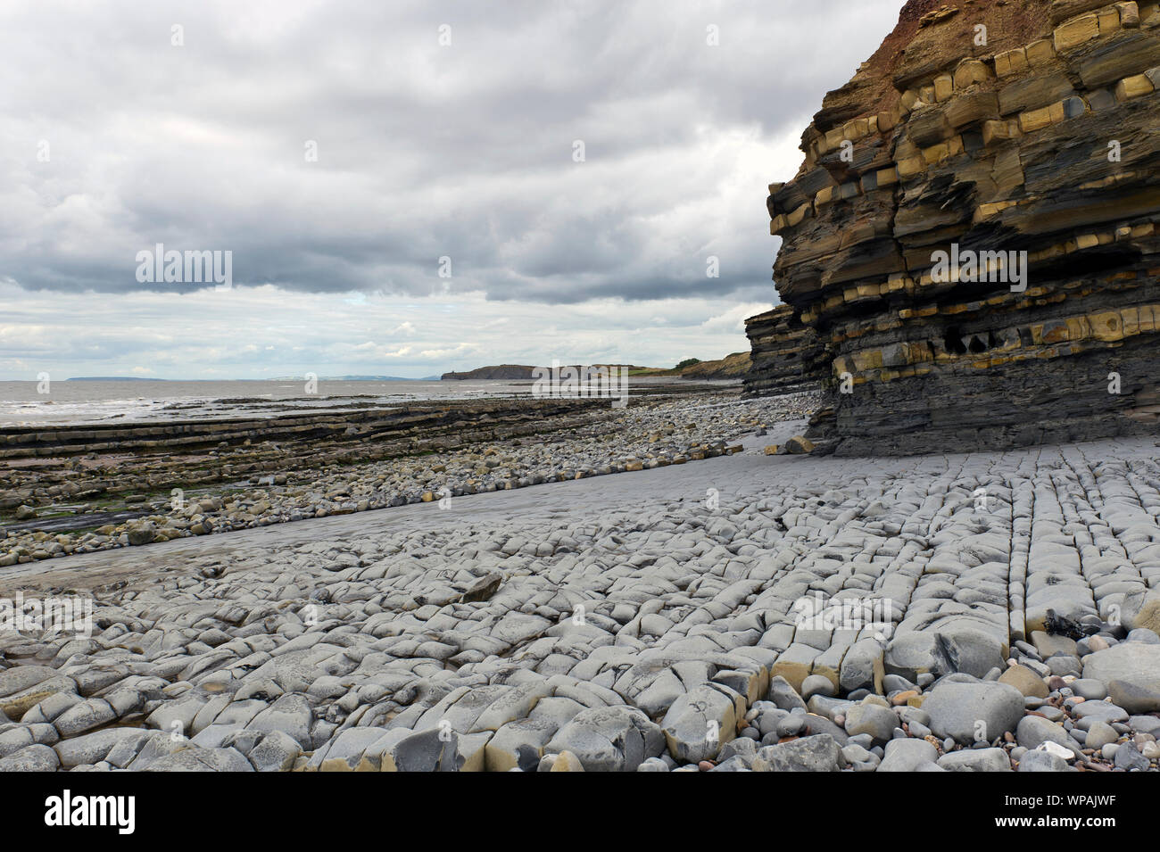 Kilve fossils hi-res stock photography and images - Alamy