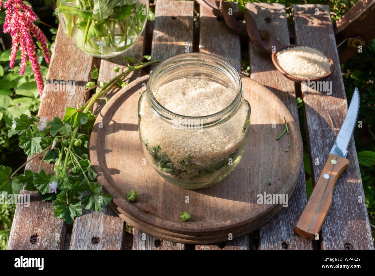 Preparation of mallow syrup against cough from fresh blooming Malva ...