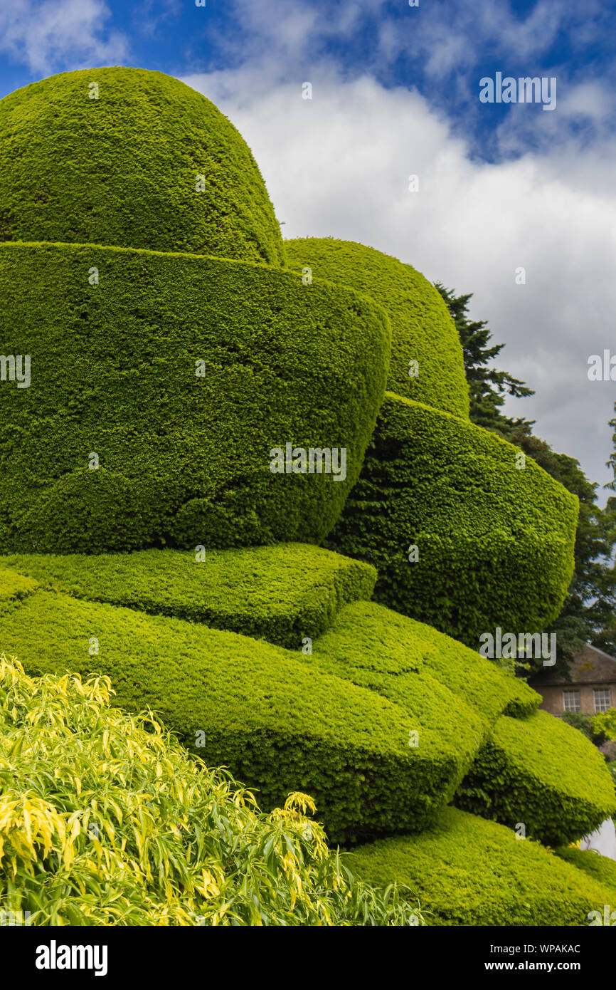 Crathes castle hedges Stock Photo - Alamy