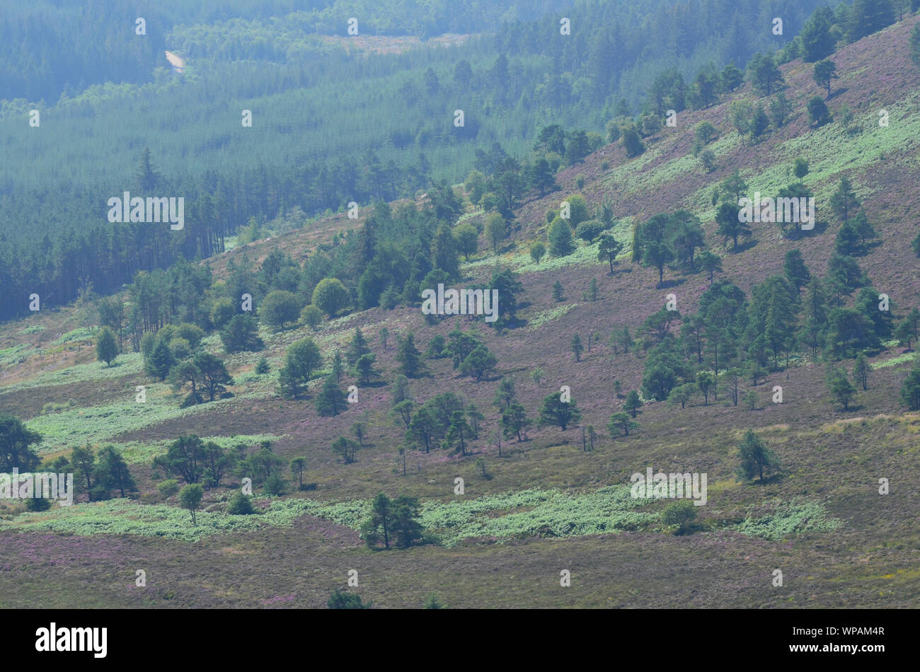 Panoramic views from the summit of Bennachie, one of the most prominent ...