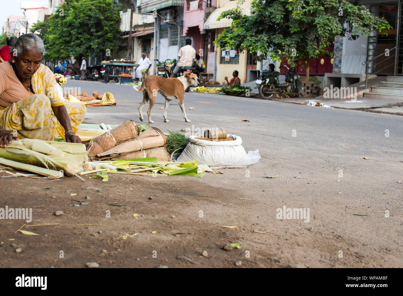 An old lady setting up her roadside shop near the streets of Srirangam ...