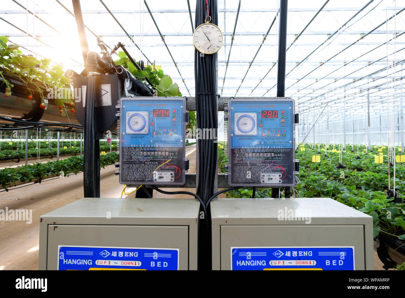 CHIANGMAI, THAILAND - February 12 : Smart agriculture technology trend ...