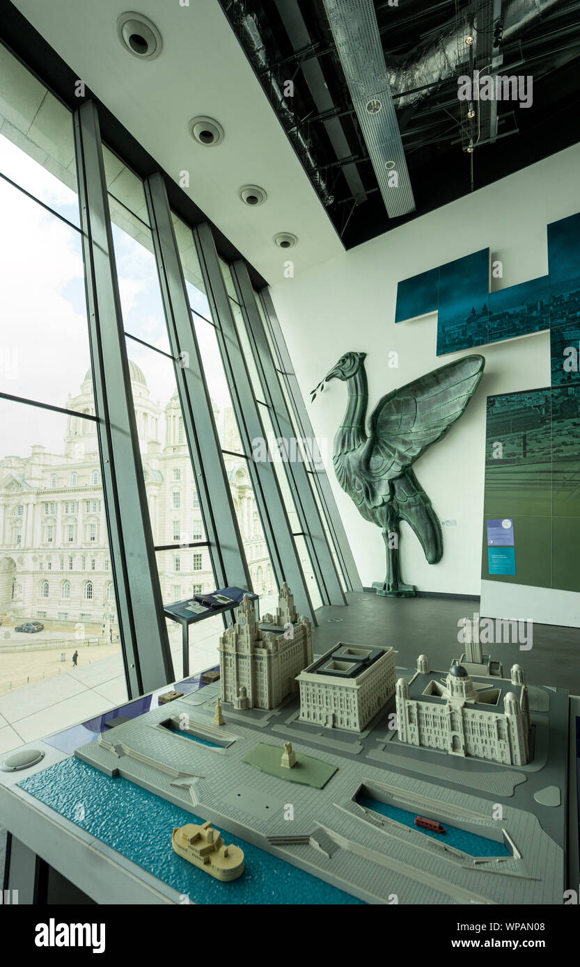 Liver bird model hi-res stock photography and images - Alamy