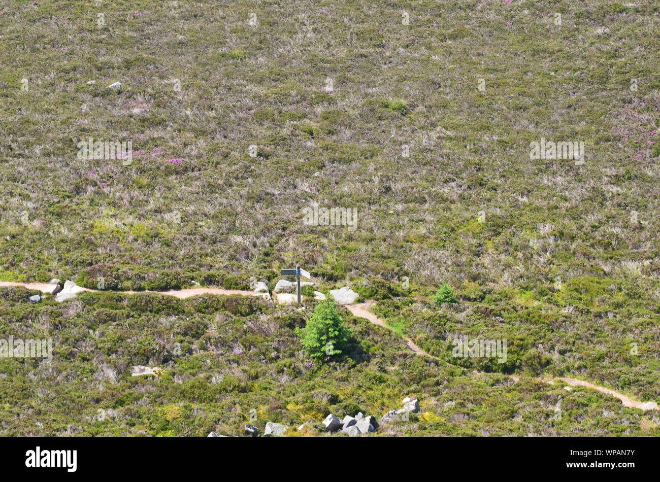 Mither tap hi-res stock photography and images - Alamy