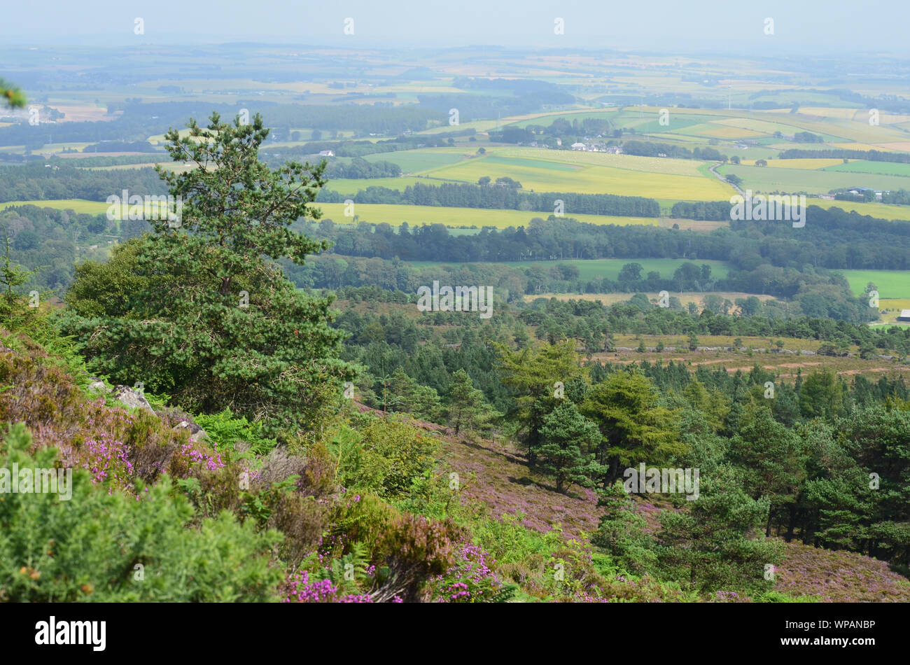 Bennachie hill range hi-res stock photography and images - Alamy