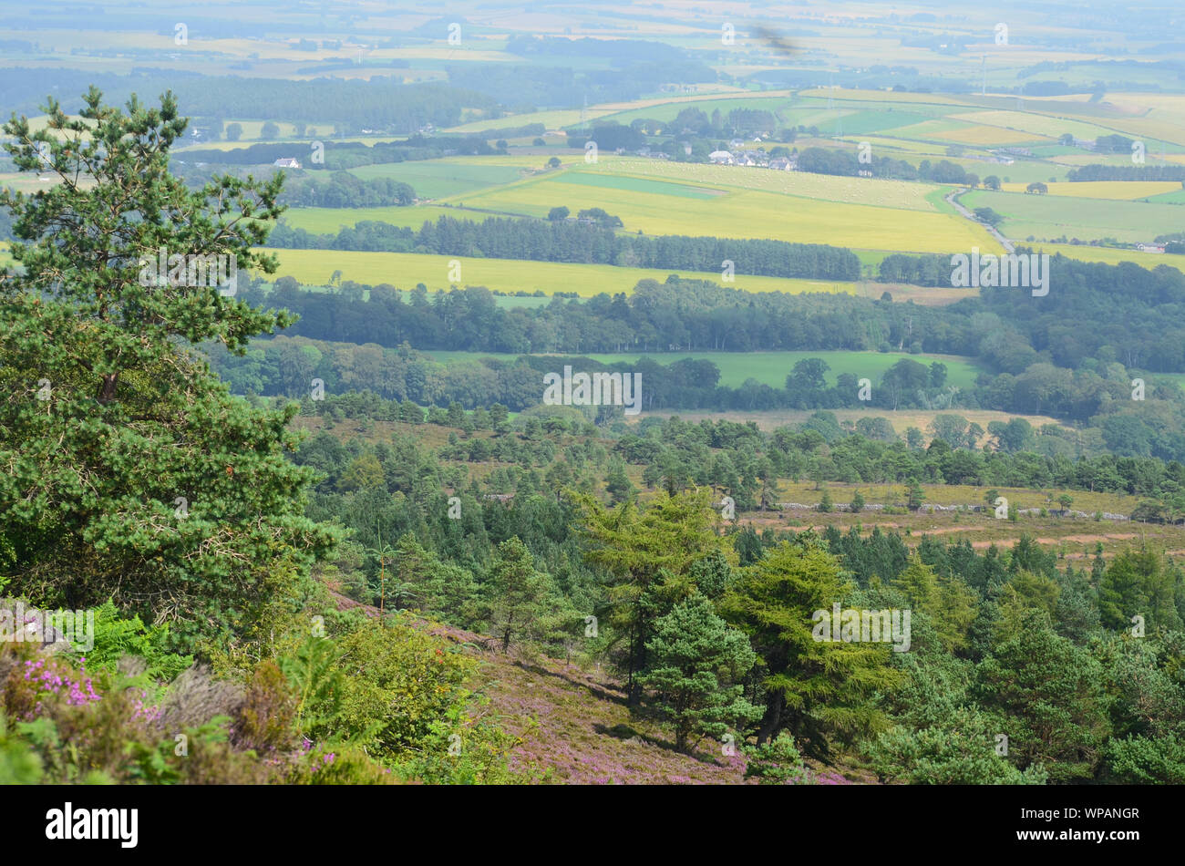 Bennachie hill range hi-res stock photography and images - Alamy