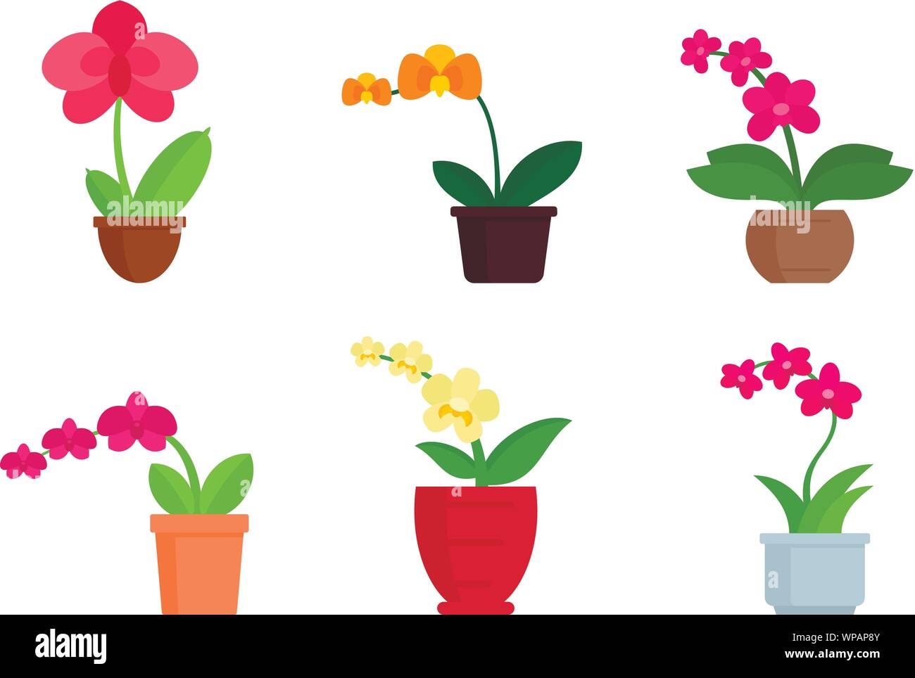 Orchid icons set. Flat set of orchid vector icons for web design Stock ...