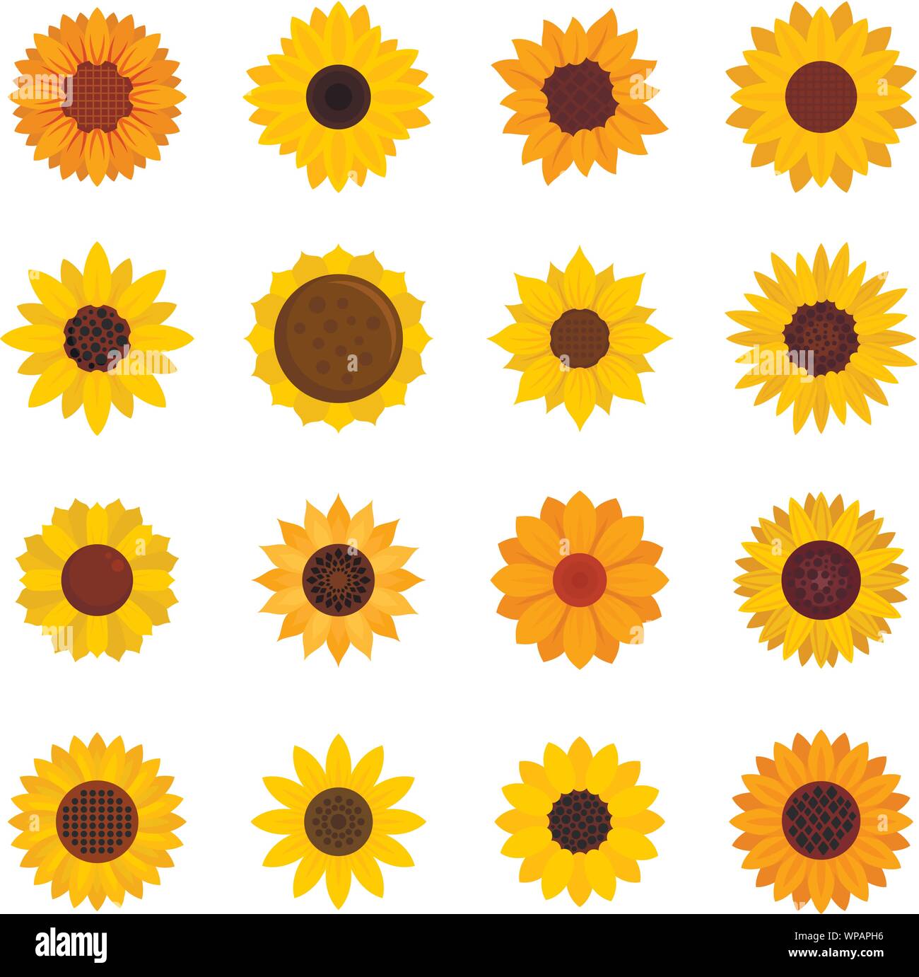 Sunflower icons set. Flat set of sunflower vector icons for web design ...