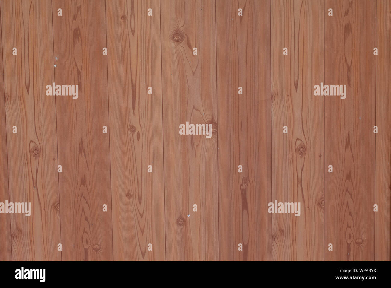 Plywood Texture Seamless