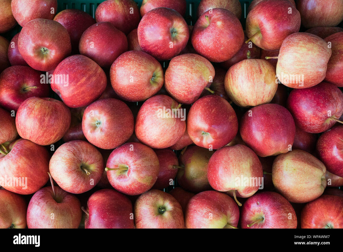 Close up red braeburn apple hi-res stock photography and images - Alamy