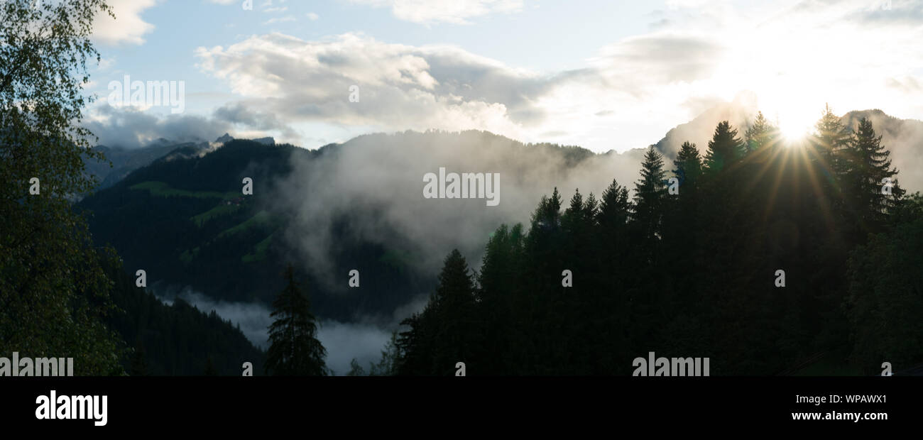 sun shining through fog and clouds after rain in a panorama forest and ...
