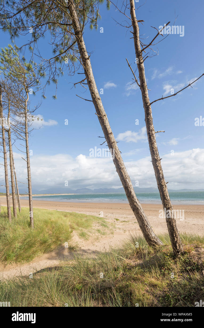 Newborough Warren National Nature Reserve, Ynys Llanddwyn Island ...