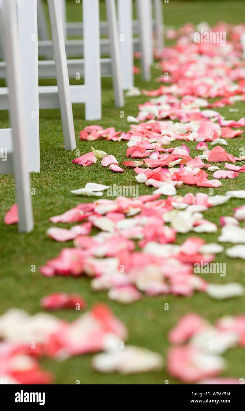 Wedding runner hi-res stock photography and images - Alamy