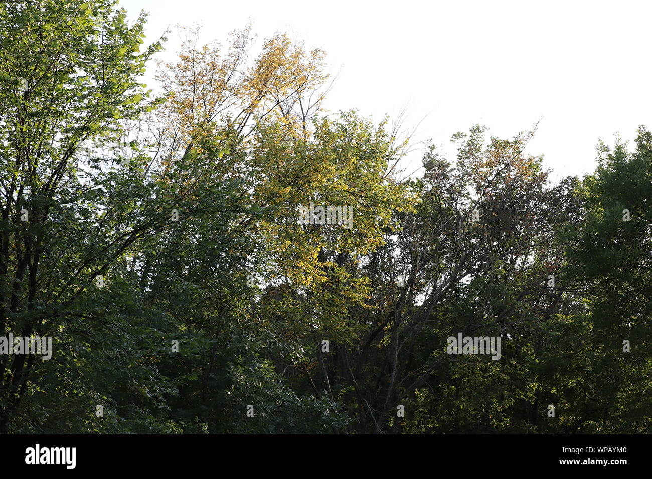 Fall is coming Stock Photo - Alamy