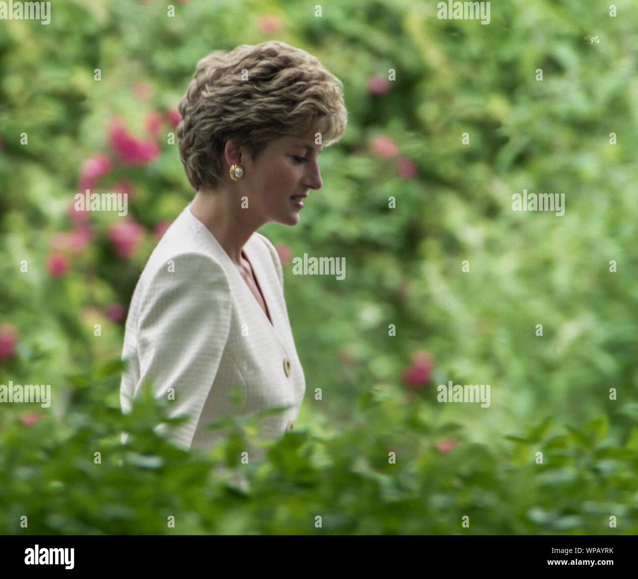 Will carling princess diana hi-res stock photography and images - Alamy