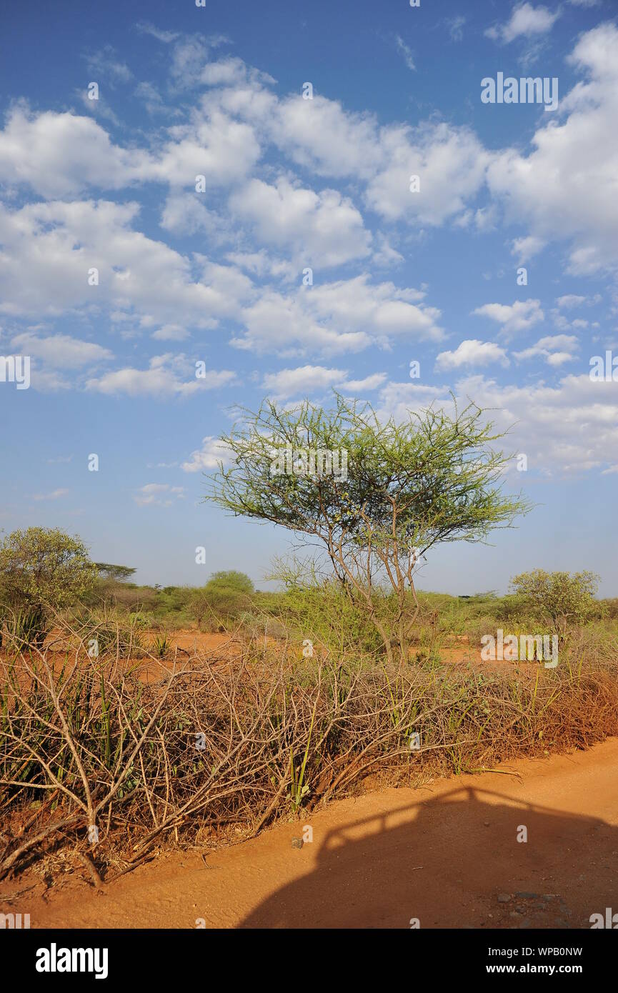 Omo forest reserve hi-res stock photography and images - Alamy