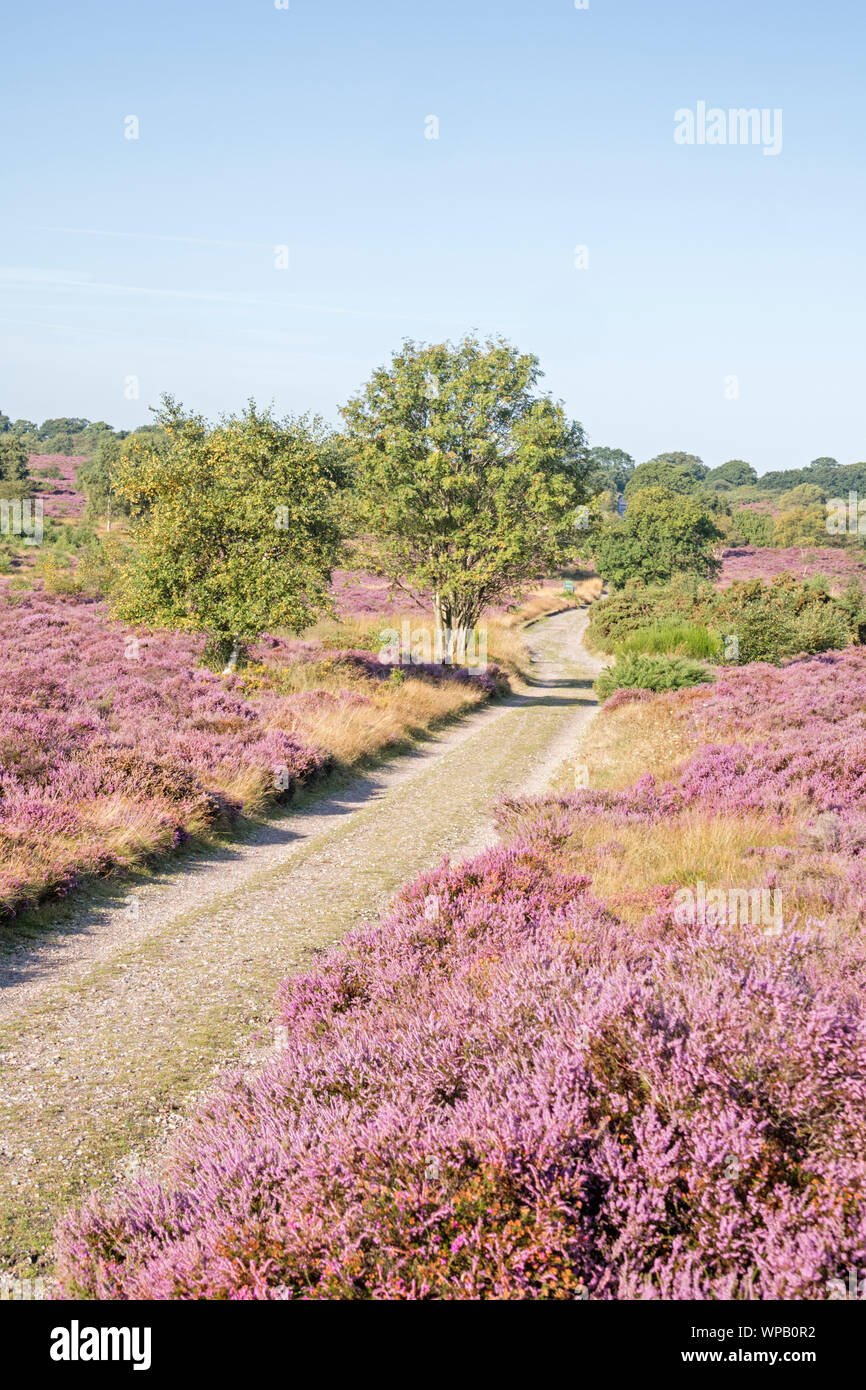 Suffolk coast nnr hi-res stock photography and images - Alamy