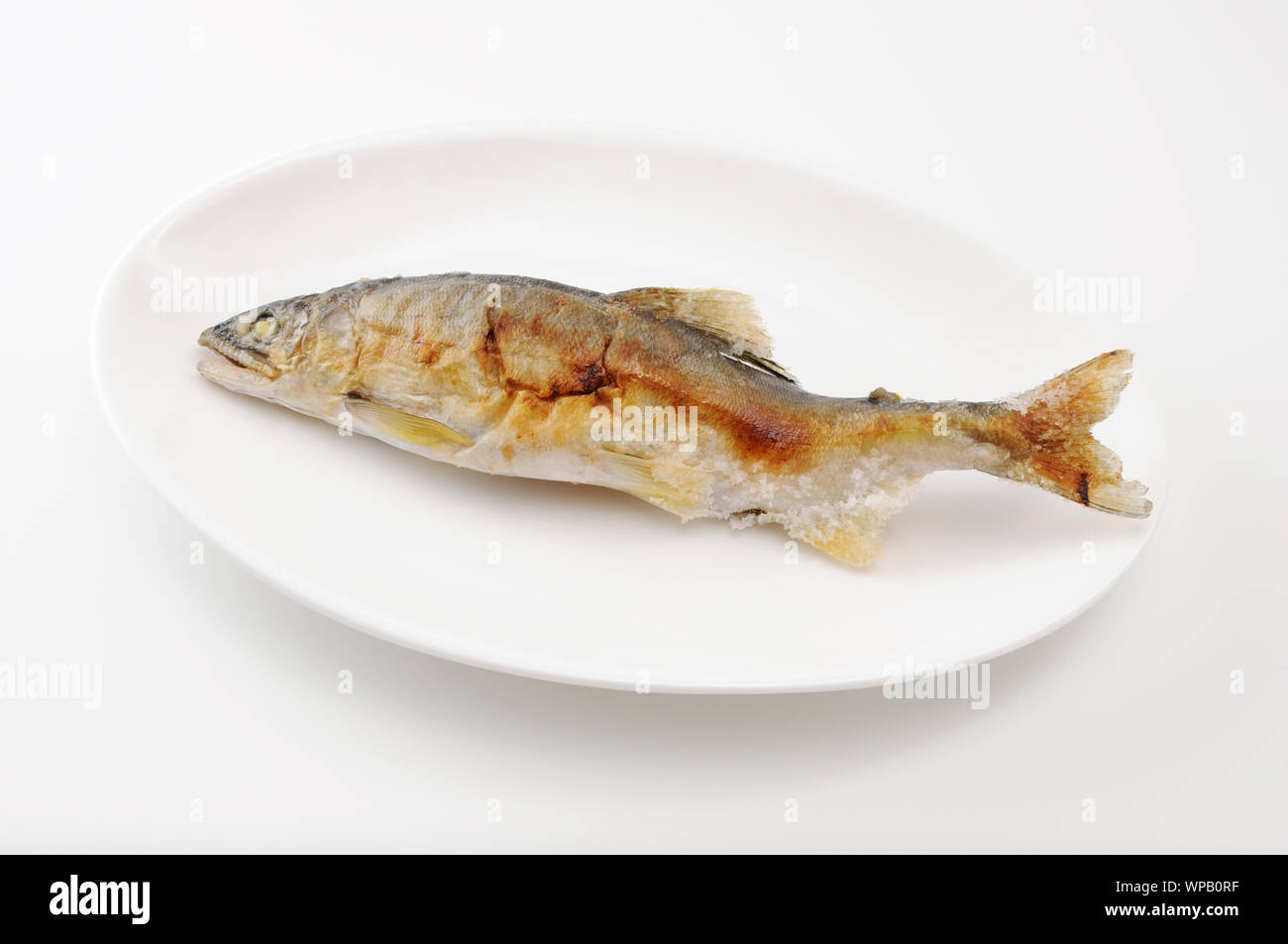 grilled fish sweetfish with salt Japanese dish ayu no shioyaki on plate ...
