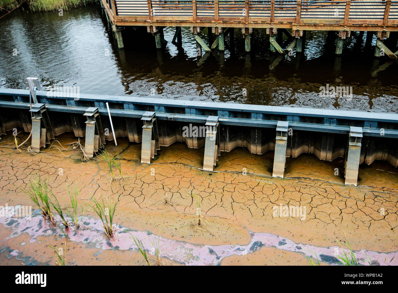 Water contamination - polluted water Stock Photo - Alamy