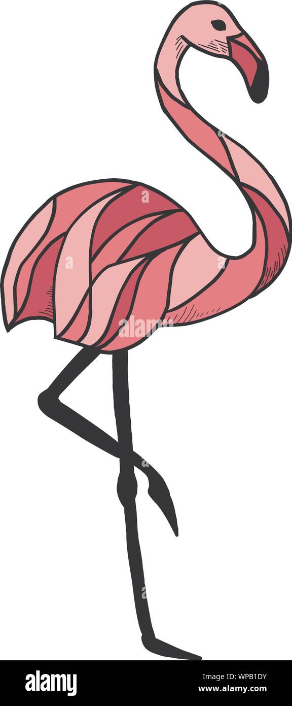 Pink flamingo vector illustration isolated on white background Stock ...