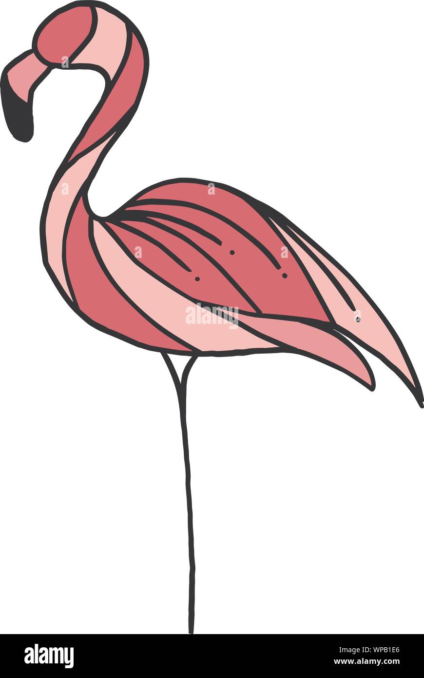 Pink flamingo vector illustration isolated on white background Stock ...