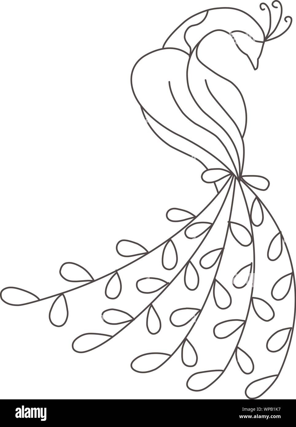 Vector illustration of peacock, minimalist monoline lineart outline ...