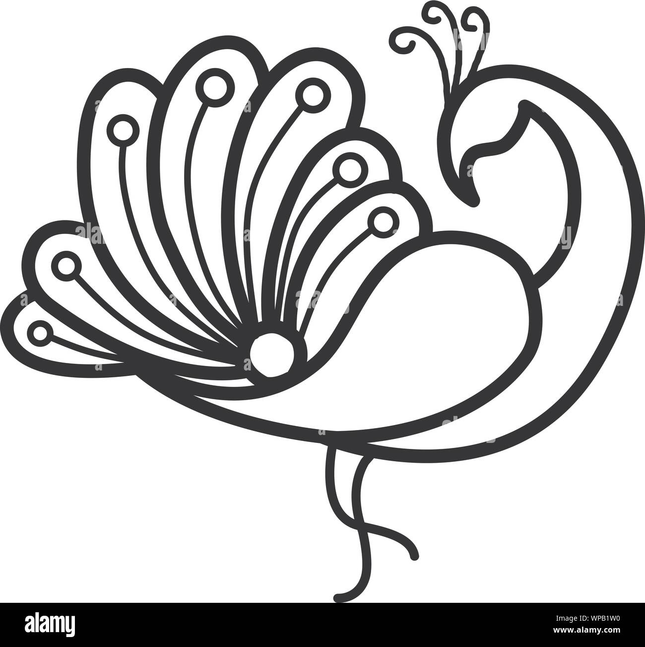 Peacock Black And White Logo
