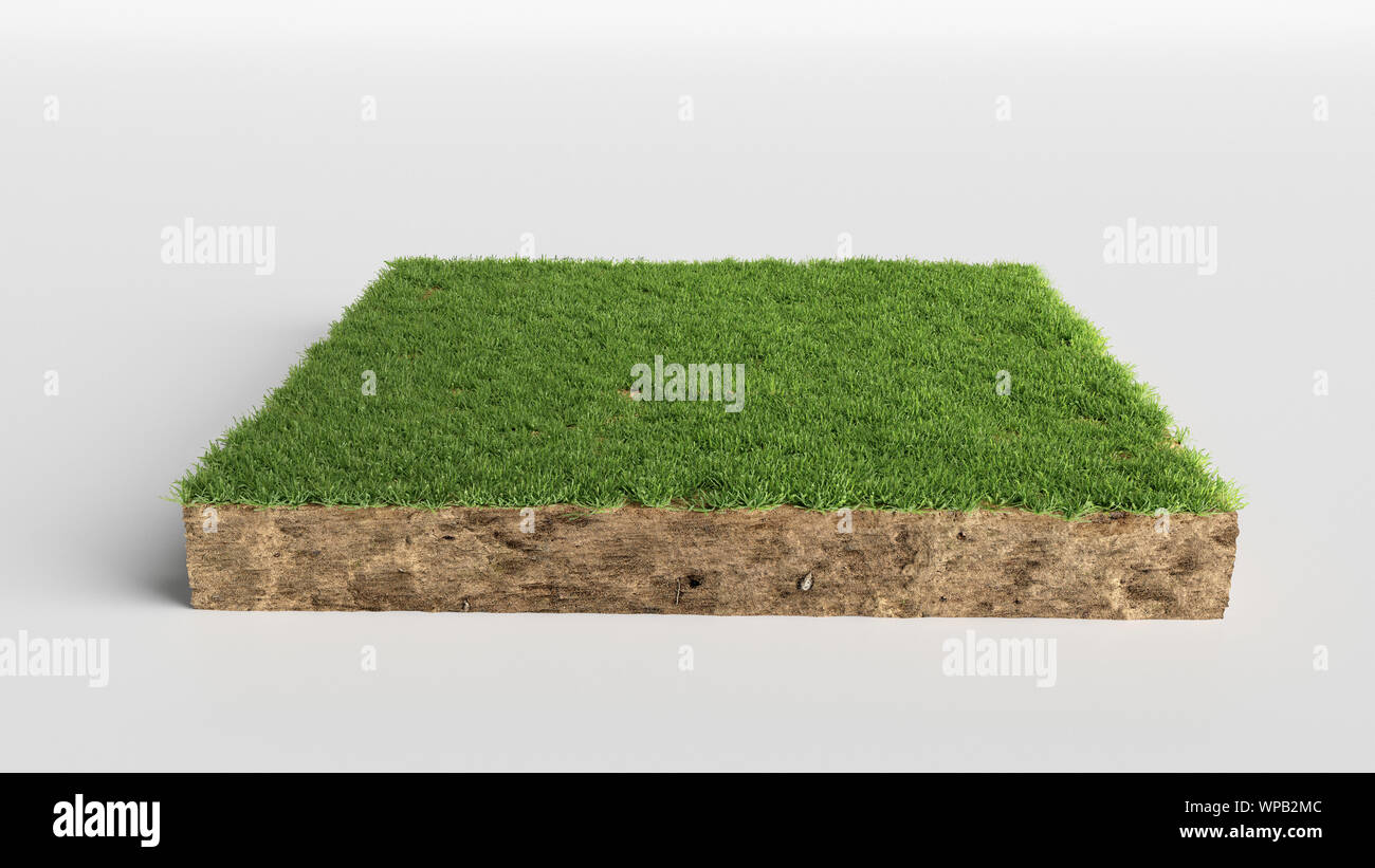 3D Illustration soil ground cross section with earth land and green ...