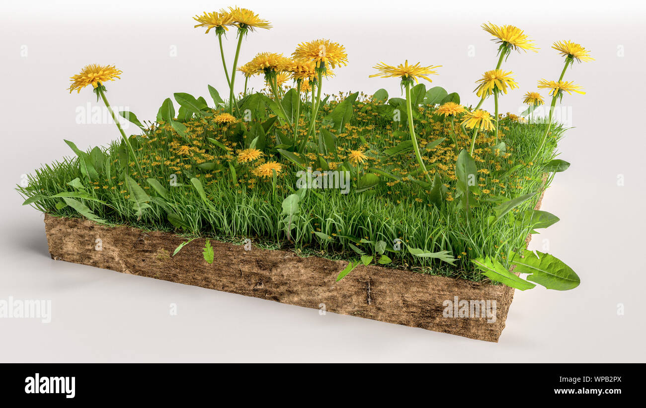 3D Illustration soil ground cross section with earth land and green ...