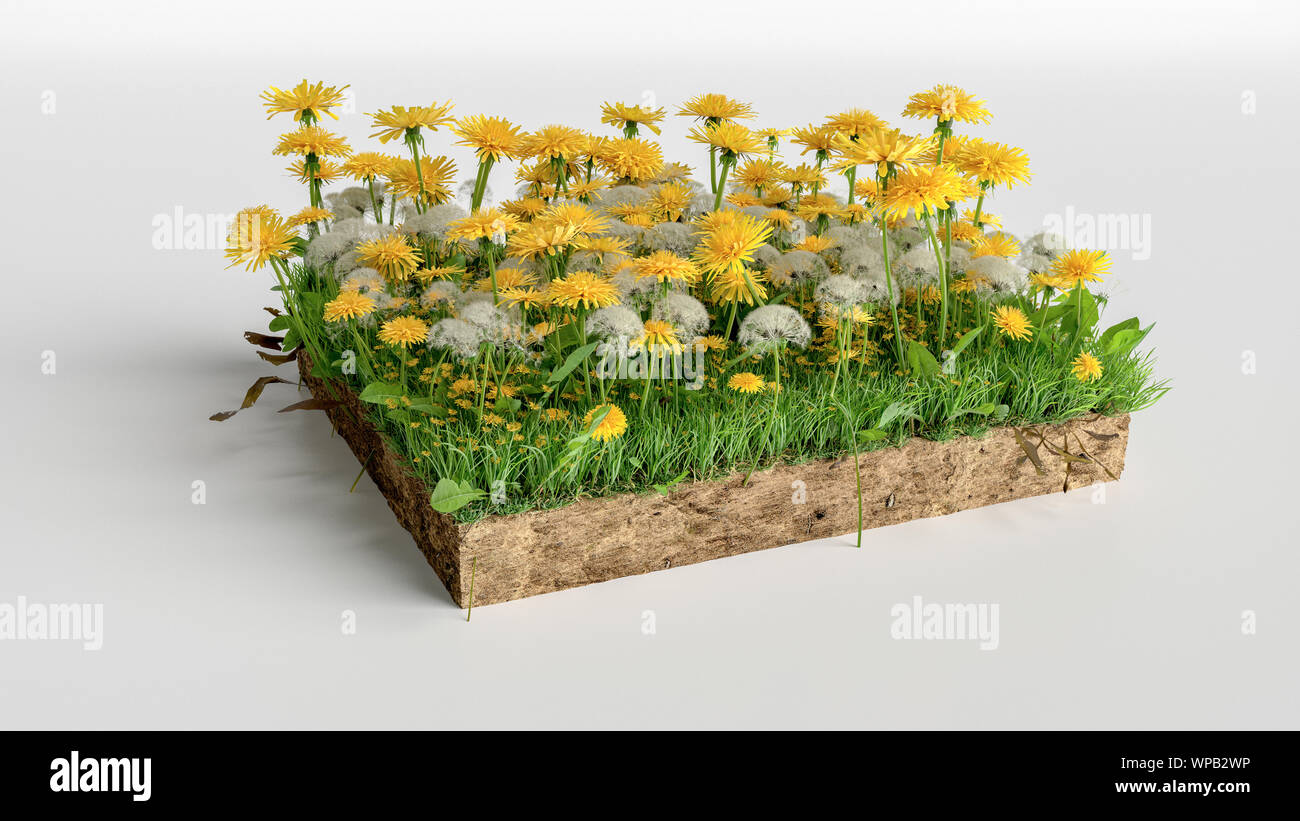realistic 3D rendering cutaway terrain floor, 3D Illustration soil ...