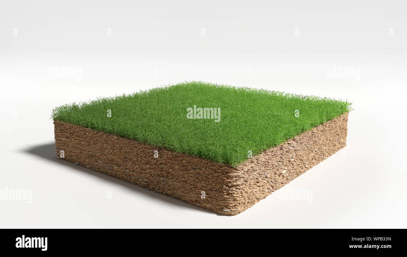3D Illustration Square of grass field on white background Stock Photo ...