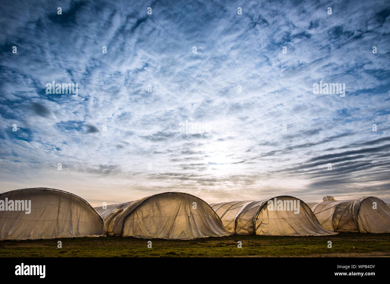 Farm greenhouse green polyethylene hi-res stock photography and images ...