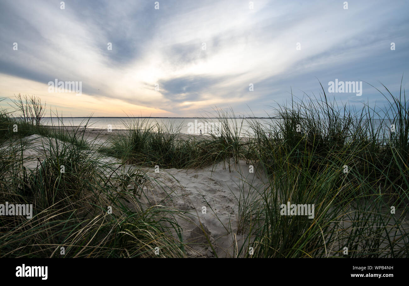 beach and coastline of german North-sea island Föhr Stock Photo - Alamy