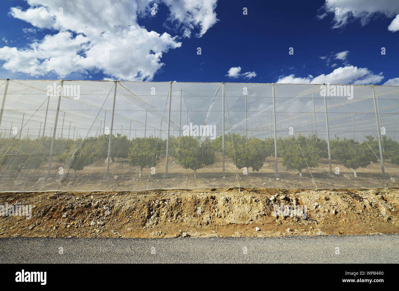 Monocropping High Resolution Stock Photography and Images - Alamy