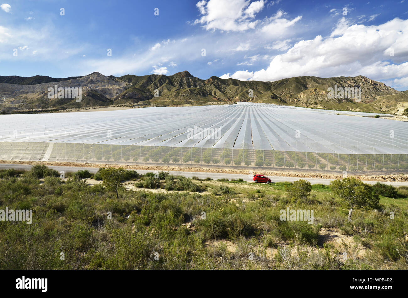 Monocropping hi-res stock photography and images - Alamy