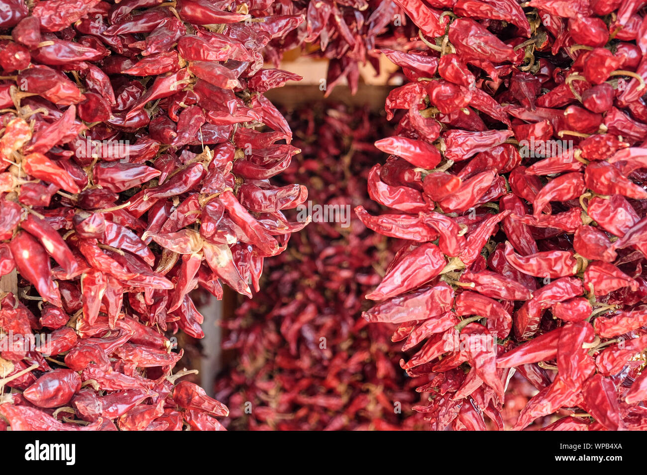 Paprika fair hi-res stock photography and images - Alamy