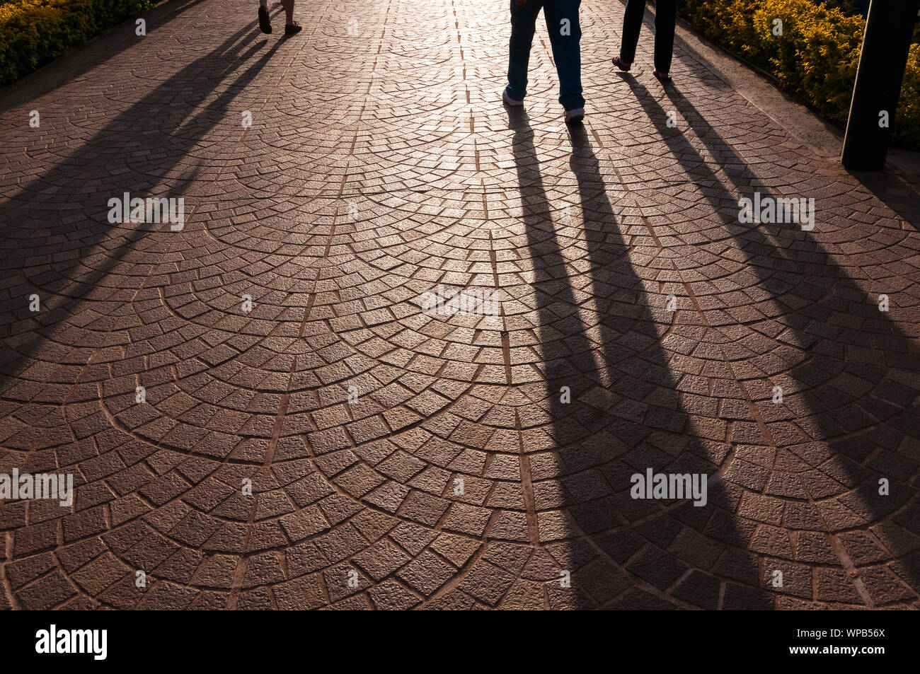Intricate decorative walkway with 3 shadows from people walking Stock ...