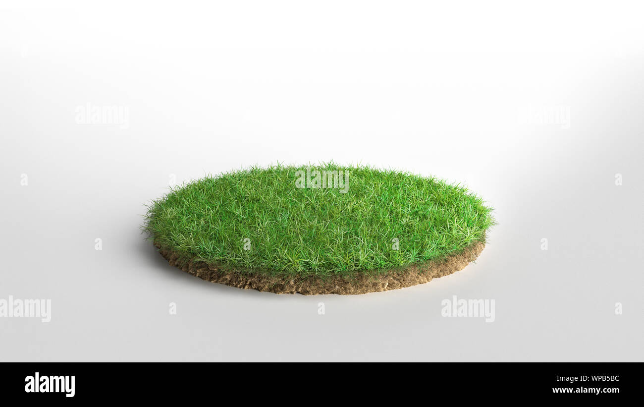 Round green grass land piece isolated on white background. 3D ...