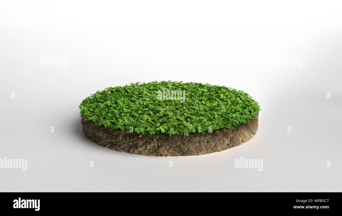 Round green grass land piece isolated on white background. 3D ...