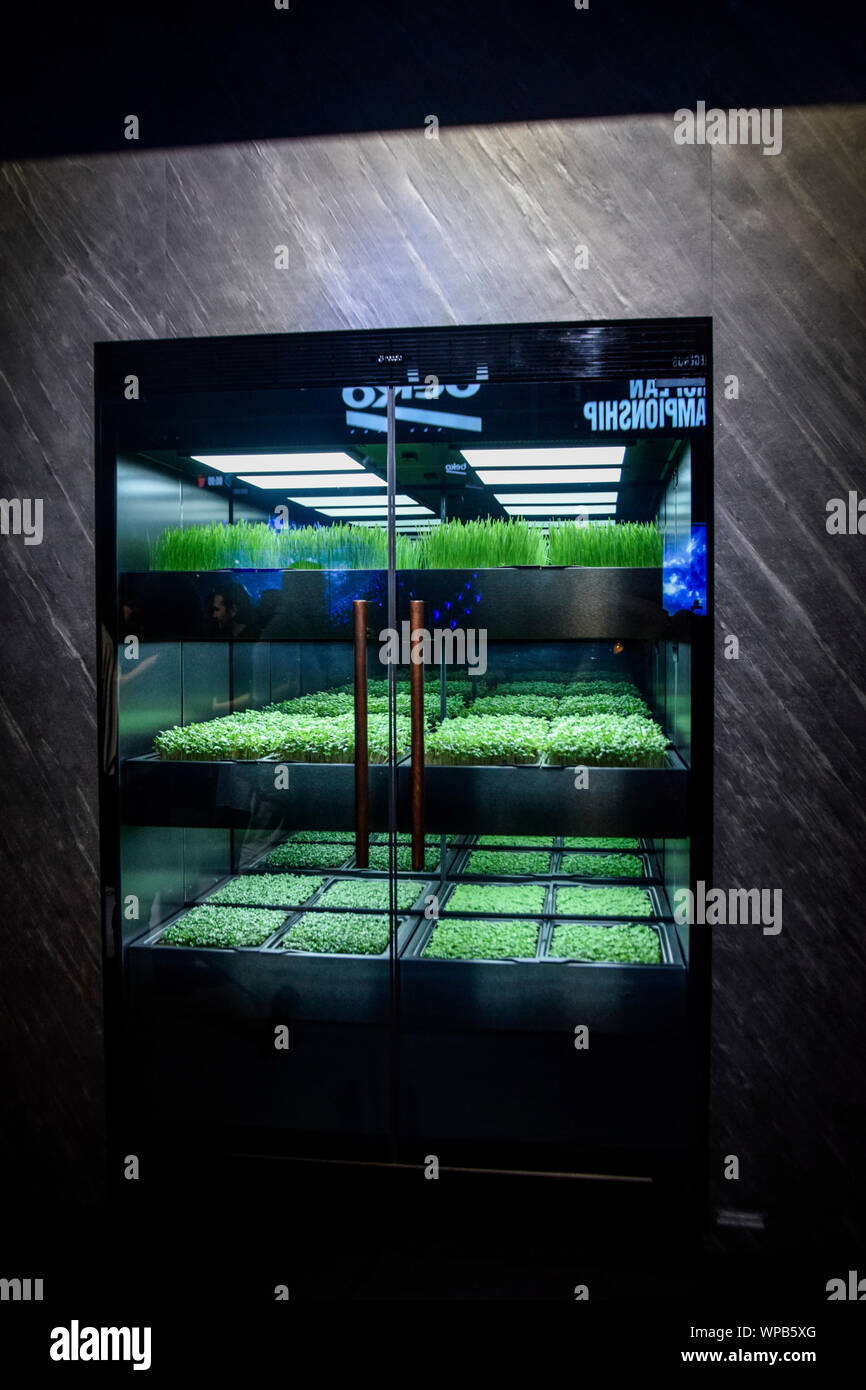 Microgarden hi-res stock photography and images - Alamy