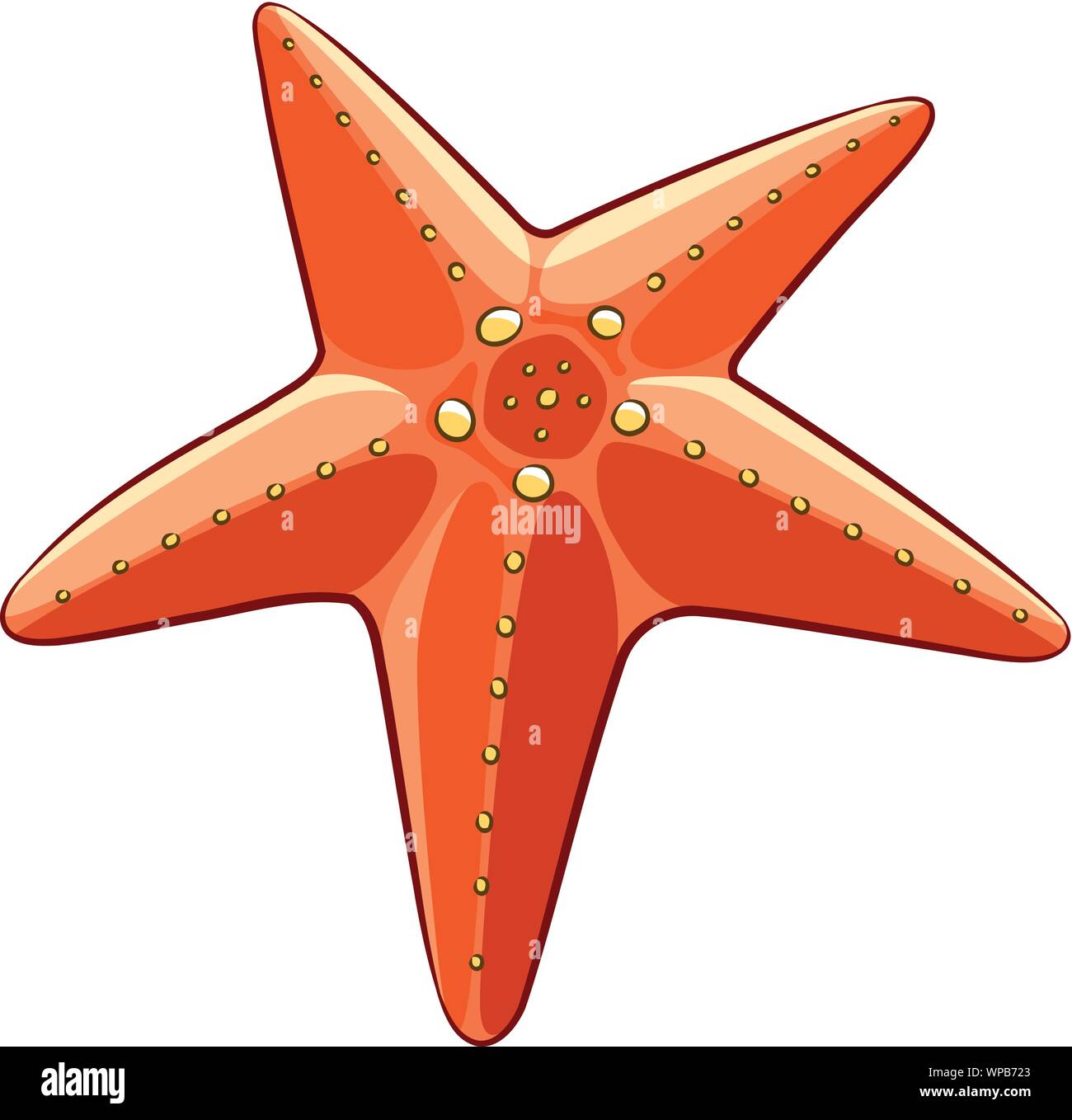 Vector Illustration of Colorful Cartoon Orange Starfish isolated on a ...